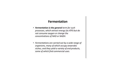 Fates Of Pyruvate Alkohol Fermentation Lectic Acid Fermentation Pptx