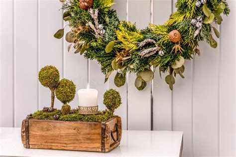 Decorative Tabletop Arrangement Featuring Moss Covered Trees And A