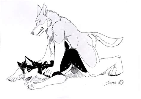 Rule 34 All Fours Anal Anal Sex Anthro Anthro On Anthro Anthro Rule 34 All Fours Anal Anal Sex Anthro Anthro On Anthro Anthro