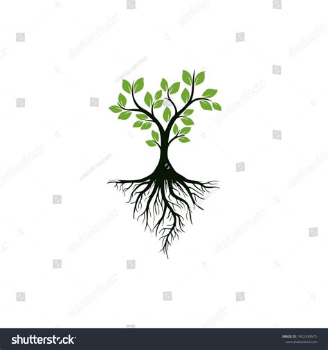 Tree Roots Vector Illustration Stock Vector Royalty Free 1952333575 Shutterstock