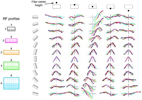 The Basic Pattern Of Llr Forms Is Conserved Across Different Filter