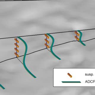 Sketch Of Sampling Point Distribution And Typical Echo Intensity Download Scientific Diagram