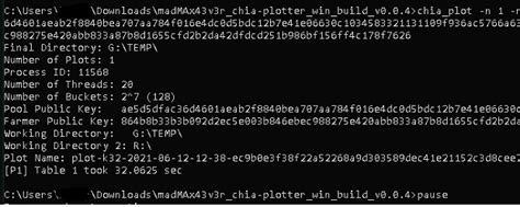 Stopped After Phase Issue MadMAx V R Chia Plotter GitHub