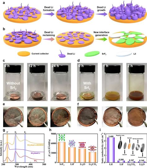 何伟东angew ：重新激活死锂，实现持久的无负极锂金属电池 华算科技