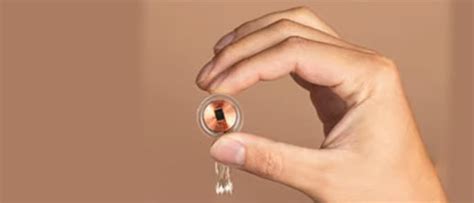 Elon Musk Demos Neuralink Brain Computer Interface Update General News HEXUS Net