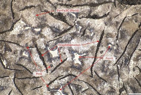 Microstructure Metallurgical Engineering 34 Comments