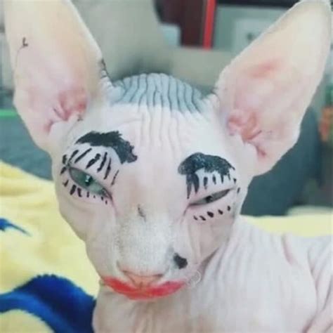 고양이 얼굴 낙서한 딸 그림 천재라고 자랑한 엄마