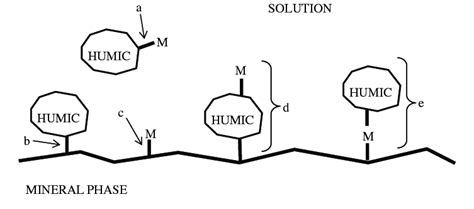 Interactions In A Ternary System Defined In The Text Download