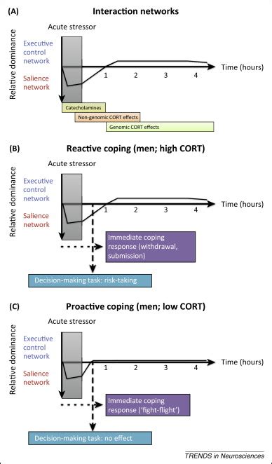 Sex Matters As Do Individual Differences Trends In Neurosciences