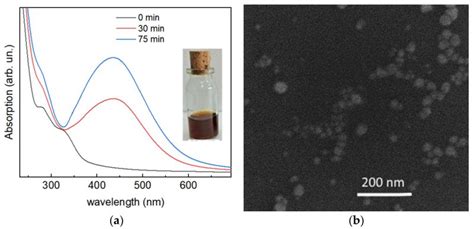 Chemosensors Mdpi On Linkedin Article Recommendation Nanoparticles Phytosynthesis Plasmon