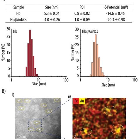 Characterization Of Hbauncs A Size Polydispersity Index Pdi And