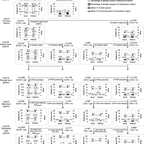 Distribution Of Subjects By Sex According To The Dental Functional