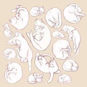 Cat Drawing Laying Down