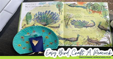 How To Make An Easy Bird Craft Fun Paper Plate Peacock