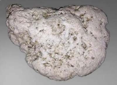 阿里上门收购太岁名贵药材收购价格 中科商务网