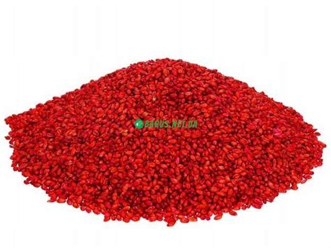 Засоби захисту від гризунів Яди для гризунів — купити в інтернет магазині Barus