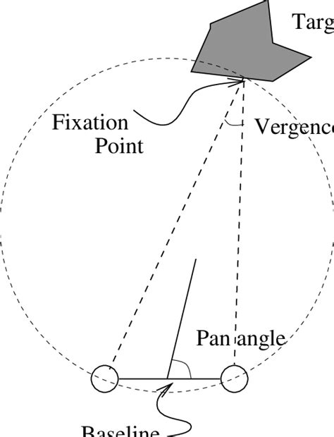2 Top View Of Binocular Gaze Geometry The Gaze Vector Consists Of The Download Scientific