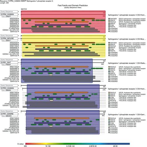 PDF New Bioinformatics Analysis Tools Framework At EMBL EBI