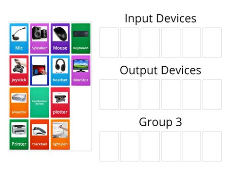 Input And Output Devices Group Sort