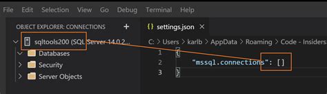 Removing Connections Behaves Inconsistently · Issue 1314 · Microsoftvscode Mssql · Github