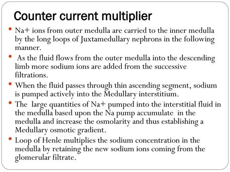 Concentration Of Urine Lecture Note Different Concentrations Ppt