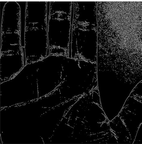 Use Open Cv To Analyze The Palm Line