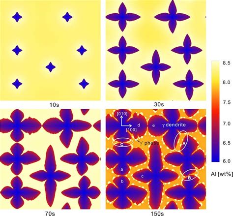 phase field simulated microstructure evolution for crystal with