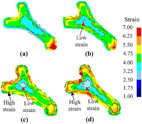 The Effective Strain Distribution At The Cross Section Of The Extrudate