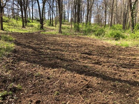 Partial Shade Plot Forums