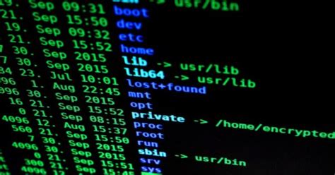Code Codes Coding Cybersecurity Security Degree Hub