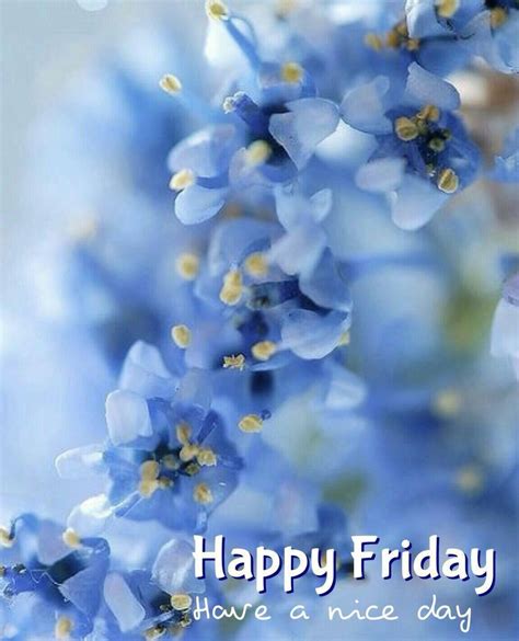 Happy Friday Have A Nice Day Blue Flowers