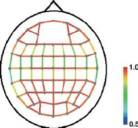 Temporally Averaged Phase Synchronization Index PSI Of Subject FEB22 Download Scientific