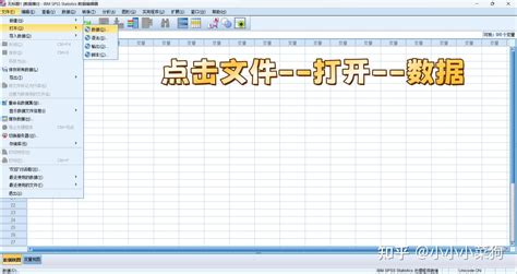 问卷数据分析spss之数据导入及变量设置 知乎
