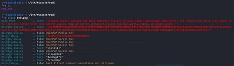 Picoctf — Red Writeup Challenge Overview By Rehema Said Medium