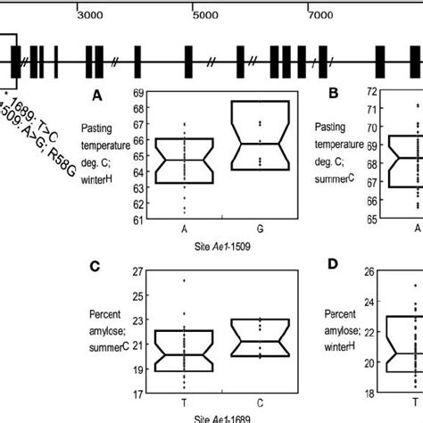 Pdf Dissection Of Maize Kernel Composition And Starch Production By Candidate Gene Association