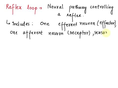 Solved In Reflex Loop Which Is An Example Of A Molecule A Potassium