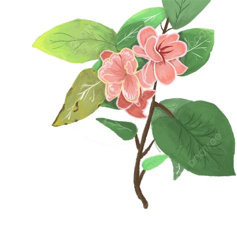 Flores De Illustrator Png Primavera Ilustración Flor Png Y Psd Para