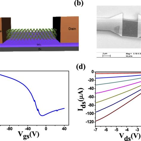 Intrinsic Carrier Concentration For Si And Sic As A Function Of