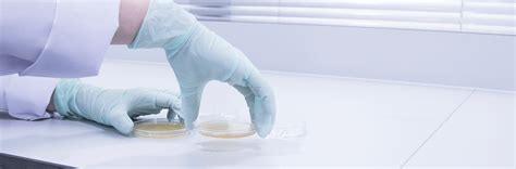 Environmental Monitoring Service Viroxy