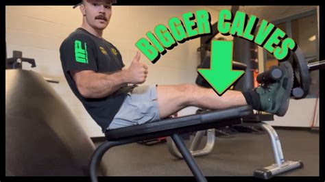 Calvesthe Forearm Of The Legs Youtube