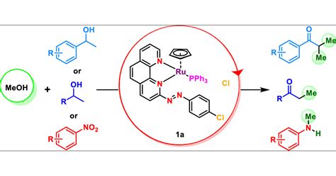 Selective C And N Methylation Of Secondary Alcohols And Nitroaromatics With Methanol Catalyzed