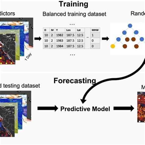 examples of observed versus predicted mhws in the testing data set