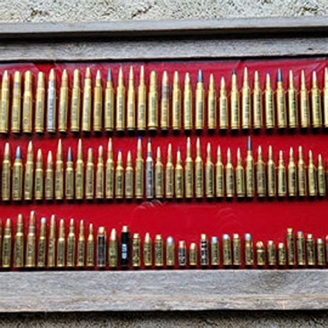 Rifle Cartridge Display Etsy