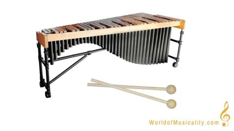 Xylophone Instrument Facts World Of Musicality