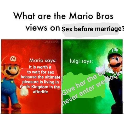 Mario Bros Views Mario Says Know Your Meme