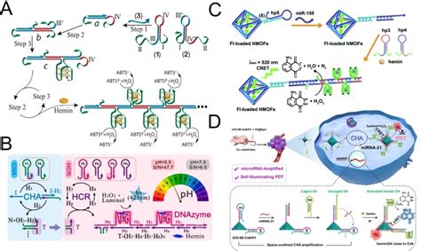 A Schematic Diagram Of Dnazyme Catalysis Reproduced From Ref 53 Download Scientific