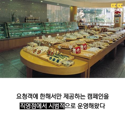 파리바게뜨 플라스틱 칼 필요할 때만 드려요 네이버 포스트