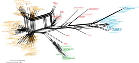 139 Botswana Cryptococcus Neoformans Var Grubii Isolates Without Vnii Download Scientific