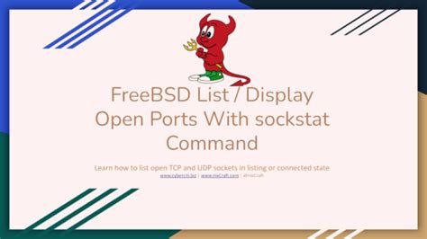 FreeBSD List Display Open Ports With Sockstat NixCraft