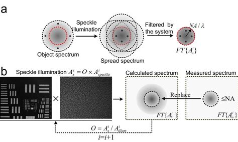 iterative reconstruction of dhm with speckle illumination a